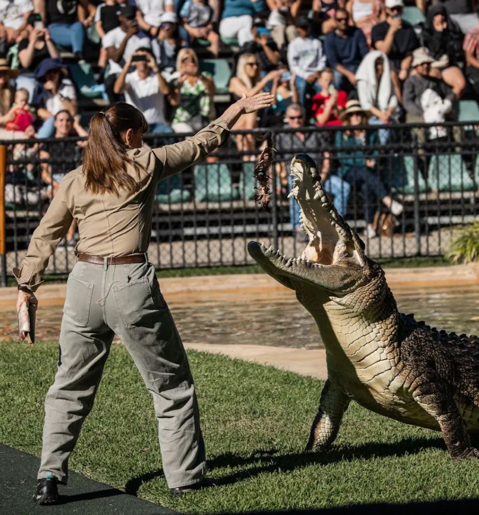 An Epic Australia Zoo Helicopter Tour – Rotor One